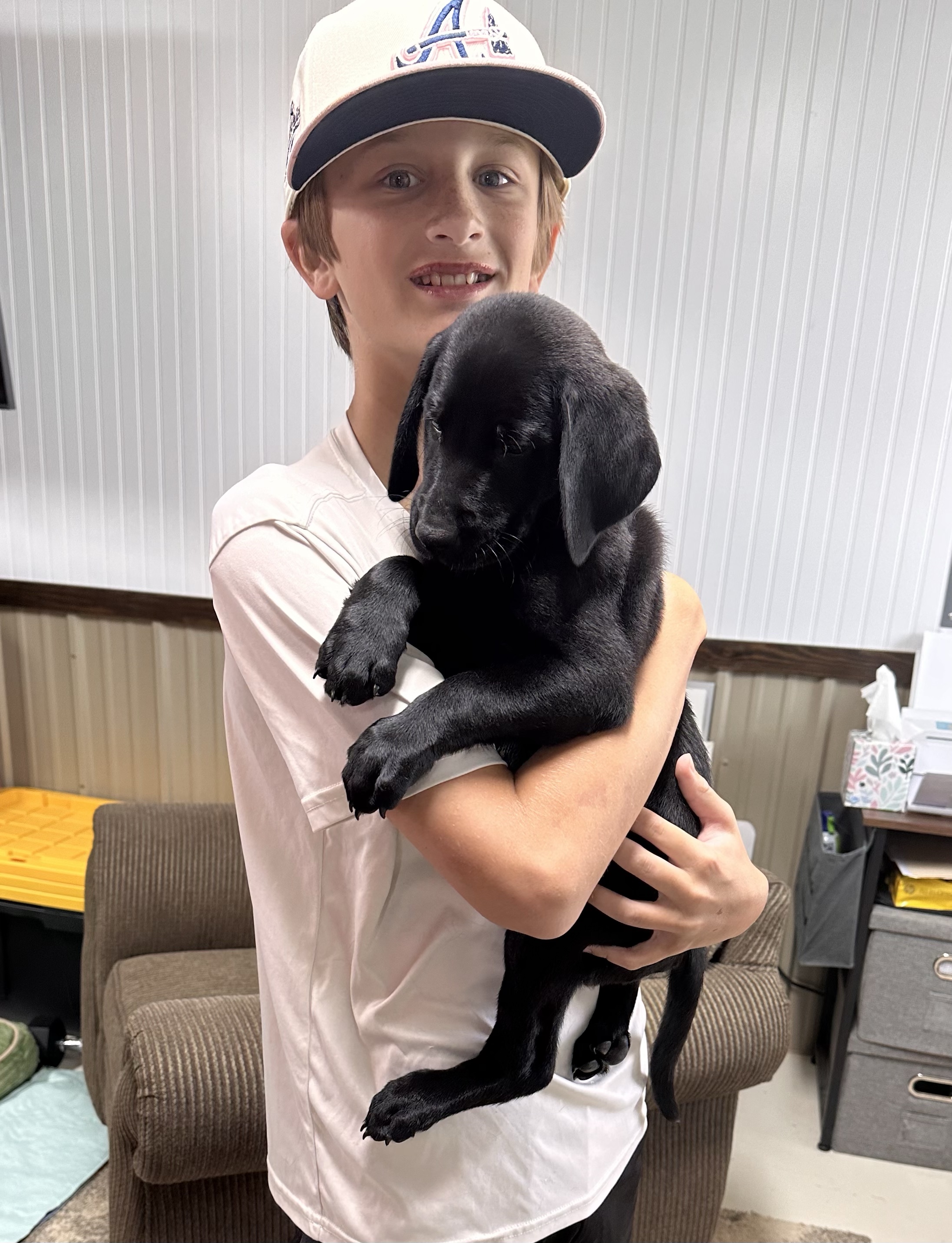 Gus Man goes home (aka Slate) – Flushing Kimber Kennels